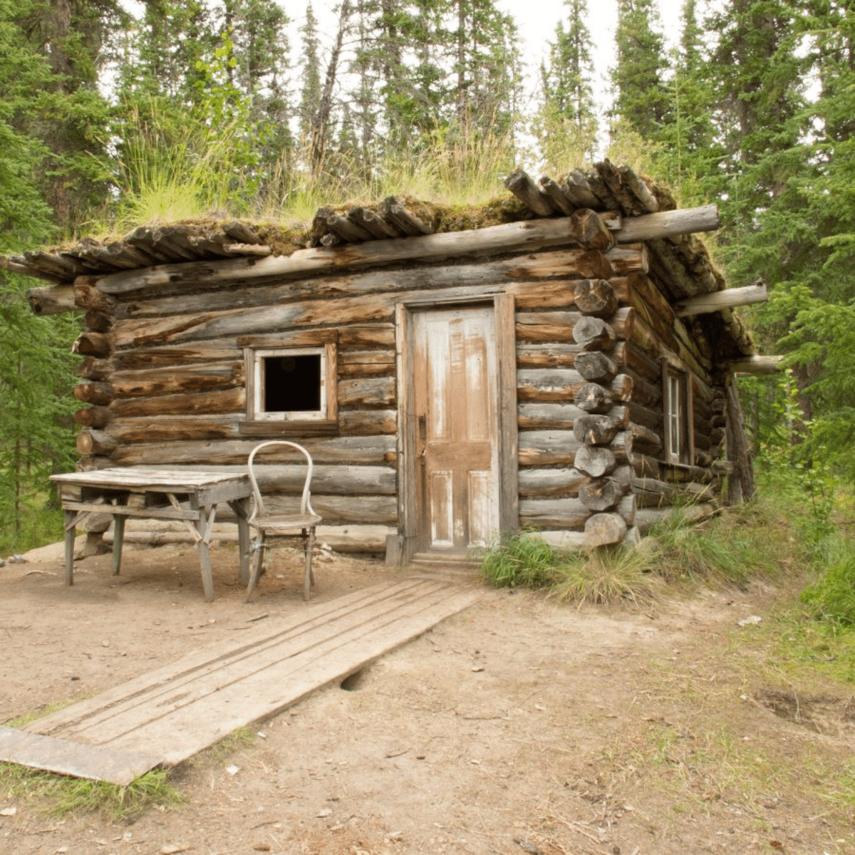 Energy Efficiency Archives - Log Cabin Connection