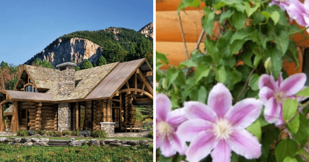 Landscaping for Log Homes - Log Cabin Connection