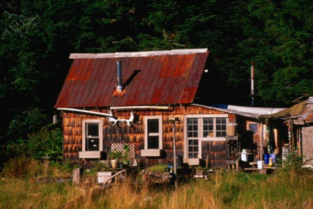 Cabin Repair - An Introduction to the Causes of Log Home Deterioration ...